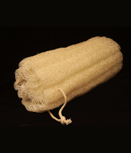 F125: Whole cylindrical raw loofah | HORUS LOOFAH | LOOFA | LUFFA